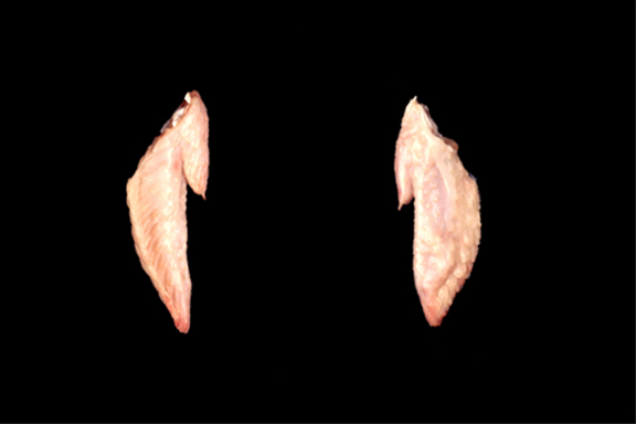 Worldwide Import and Export of Chicken Products | AJC International