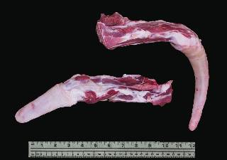 Worldwide Import and Export of Pork Offals