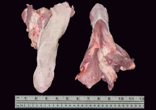 Worldwide Import and Export of Pork Offals